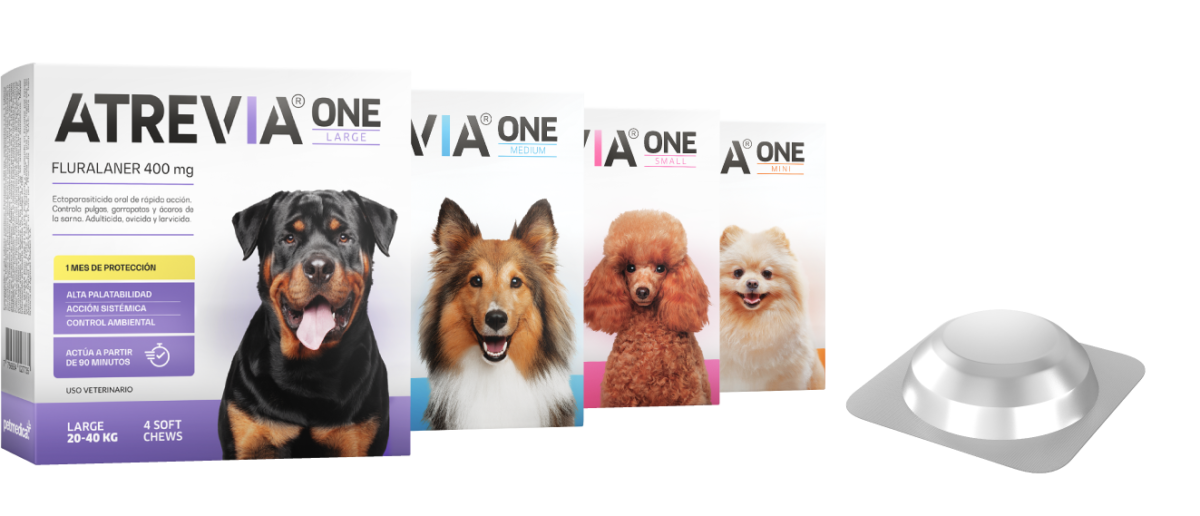 Atrevia One - Protección para Mascotas en un Paso