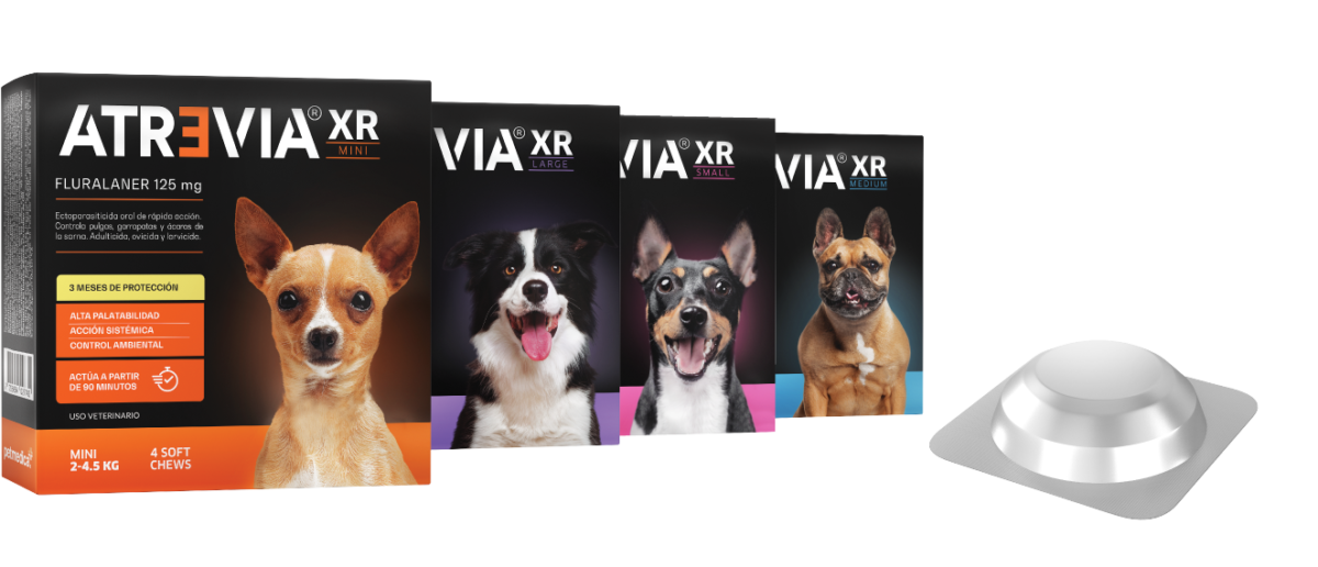 Atrevia XR: Protección prolongada para perros | Atrevia