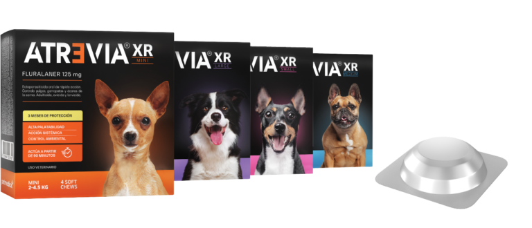 Atrevia XR: Protección prolongada para perros | Atrevia