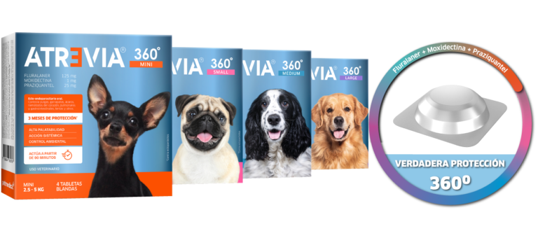 Atrevia 360° - Atrevia