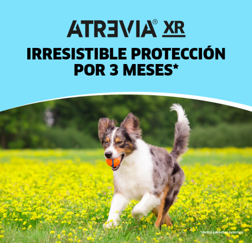 Atrevia XR para perros | Defensa prolongada | Atrevia