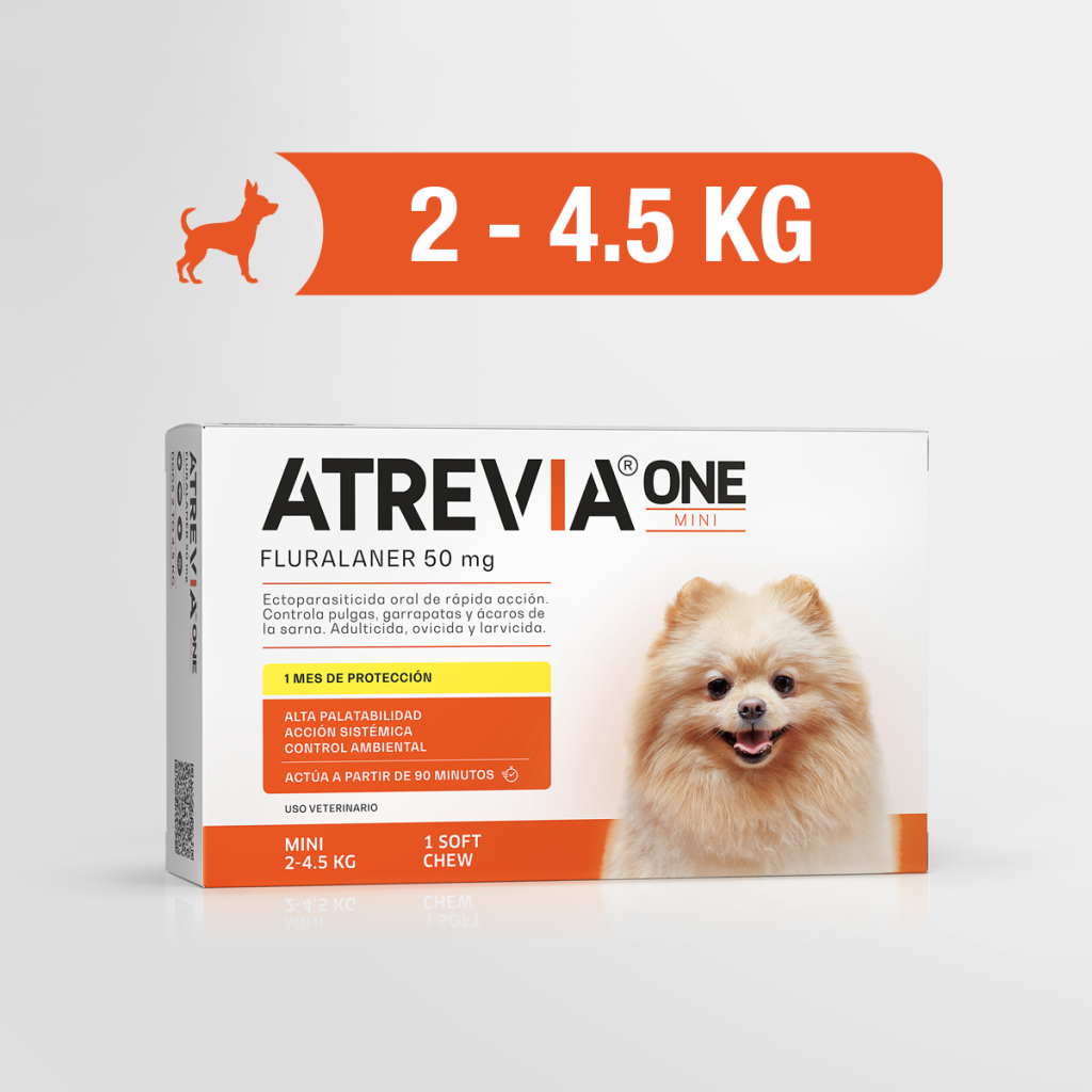 Atrevia ONE Mini - Atrevia