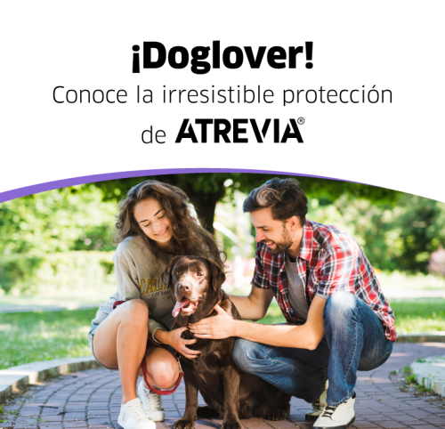Antiparasitarios para perros | Eficacia garantizada | Atrevia